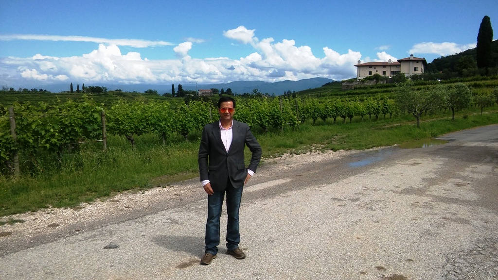 A wine trip deep into the territory of Friuli Venezia Giulia.